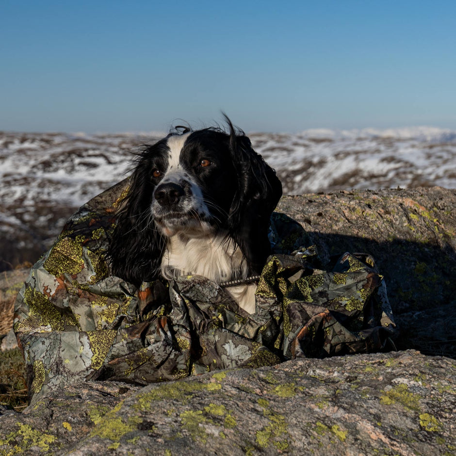 Fjellduken – Jerven